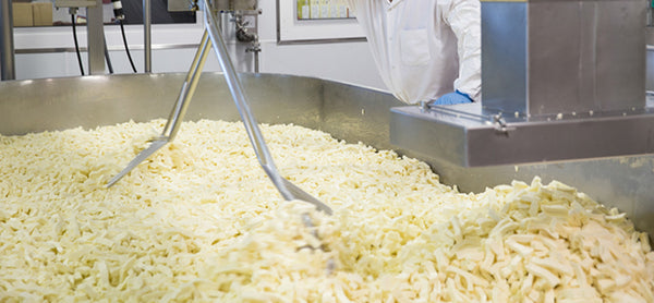 Why do Curds SQUEAK? | Face Rock Creamery